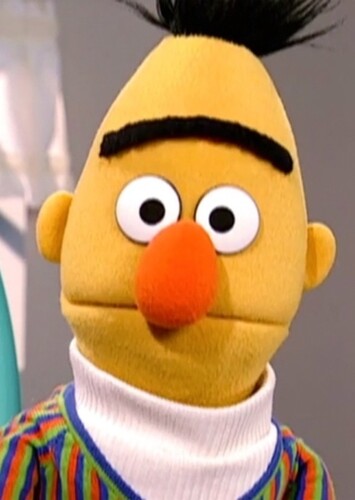 Fan Casting Steve Buscemi as Bert in Sesame Street on myCast