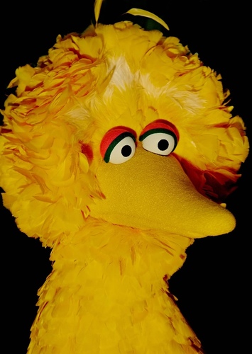 Big Bird Fan Casting for PBS Kids Interstitials (1999) | myCast - Fan ...