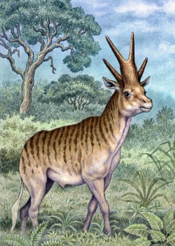 Bramatherium Fan Casting for Prehistory | myCast - Fan Casting Your ...