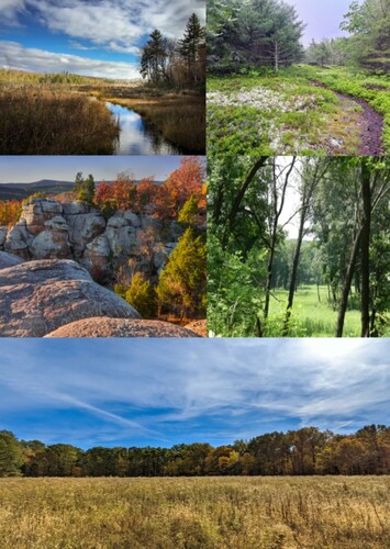 Bridger Formation Fan Casting for Prehistoric Wildlife by Fossil ...