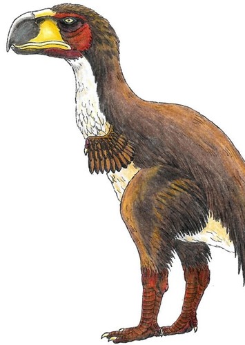 Brontornis Fan Casting for Prehistory | myCast - Fan Casting Your ...