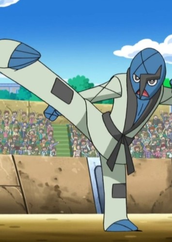 Bruno's Sawk Fan Casting for Sonic in the Pokemon World | myCast - Fan ...