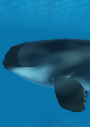 Brygmophyseter Fan Casting for Prehistory | myCast - Fan Casting Your ...