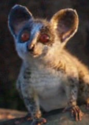 Bush Baby Fan Casting for The Lion King II: Simba’s Pride (2022 ...