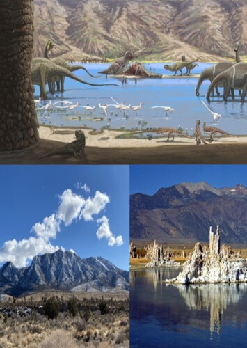 Candeleros Formation Fan Casting for Prehistoric Wildlife by Fossil ...