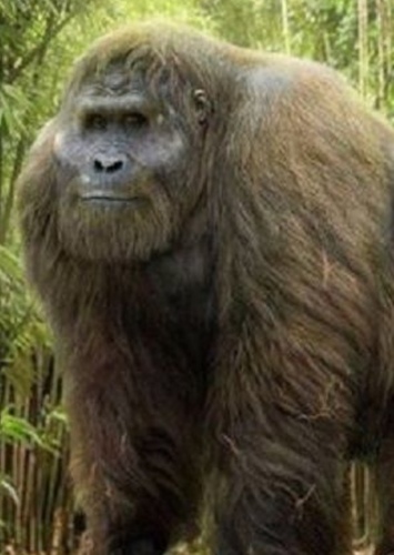 Captain Gutt Fan Casting for Ice Age: Continental Drift (2032) | myCast ...