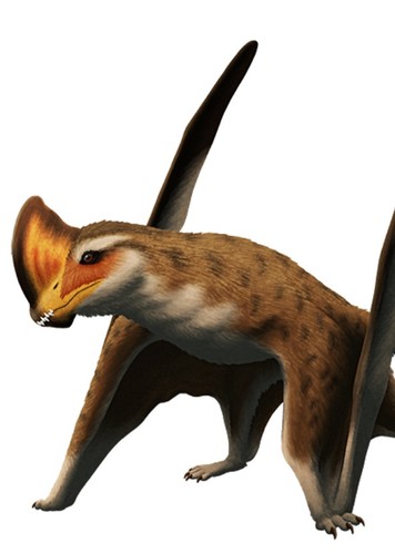 Caviramus Fan Casting for Prehistory | myCast - Fan Casting Your ...