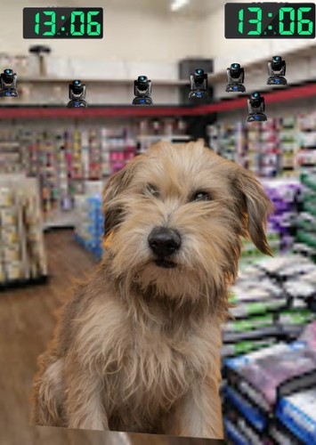 Chef chiquito CARAMELLO Fan Casting for Guys grocery games pet foods ...
