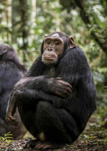 Wild, Beautiful Places Fan Casting on myCast