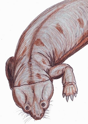 Cistecephalus Fan Casting for Prehistory | myCast - Fan Casting Your ...