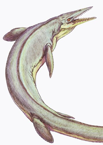 Clidastes Fan Casting for Prehistory | myCast - Fan Casting Your ...