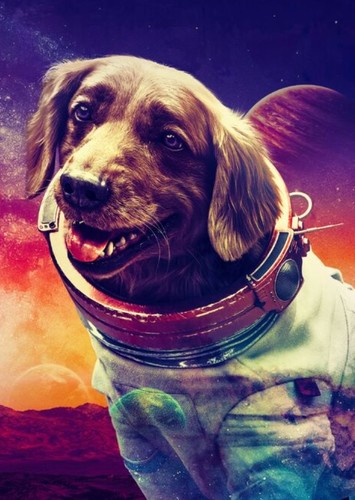 Cosmo the Dog Fan Casting for Guardians of the Galaxy Trilogy (2004 ...