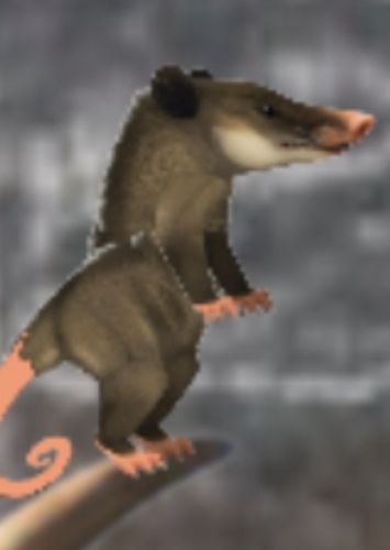 Crash Fan Casting for Ice Age: Continental Drift (2032) | myCast - Fan Casting Your Favorite Stories