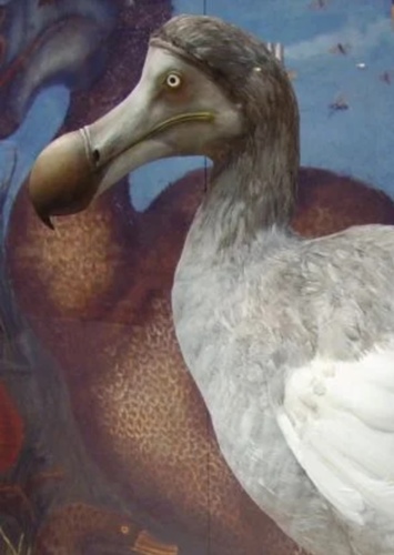 Fan Casting Joseph Mazzarino as Dab in Ice Age (Disney Live Action ...