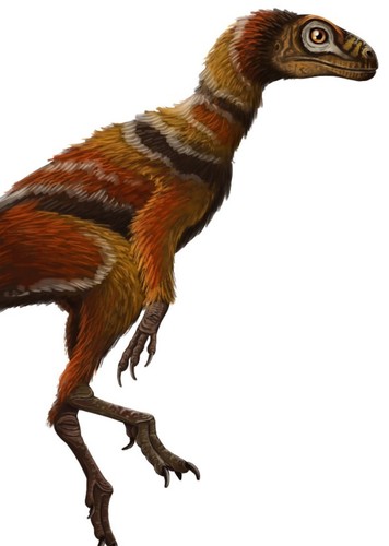 Daemonosaurus Fan Casting for Prehistory | myCast - Fan Casting Your ...