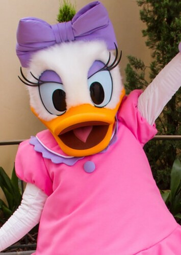 Daisy Duck Fan Casting for Macy's Thanksgiving Day Parade the Series ...