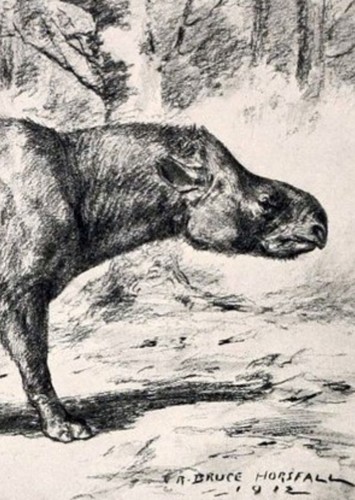 Browse Casting Suggestions by jpstudios11 on myCast - Fan Casting Your ...