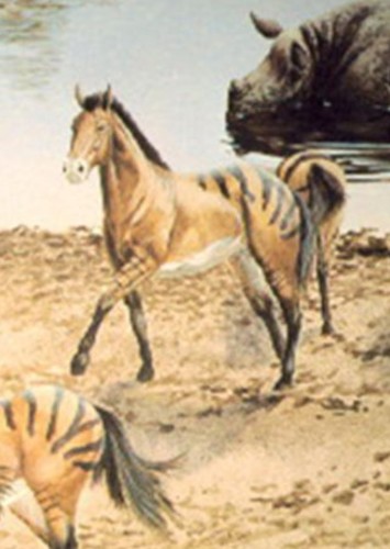 Dinohippus Fan Casting for Prehistory | myCast - Fan Casting Your ...