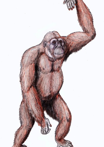 Dryopithecus Fan Casting for Prehistory | myCast - Fan Casting Your ...