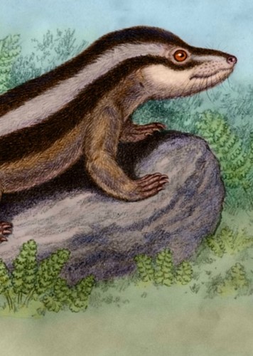 Dvinia Fan Casting for Prehistory | myCast - Fan Casting Your Favorite ...