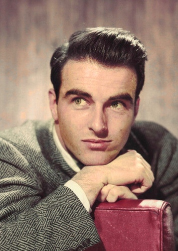 Edward Clift Fan Casting for Eva's Grace: The Eva Marie Saint Story ...