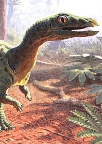 Effigia Fan Casting for Prehistory | myCast - Fan Casting Your Favorite ...