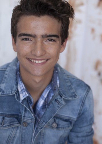 Fuller House Fan Casting