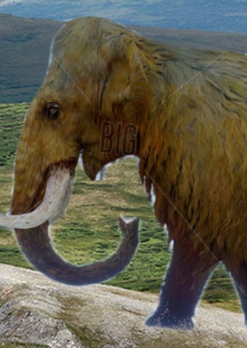 Ellie Fan Casting for Ice Age: Continental Drift (2032) | myCast - Fan Casting Your Favorite Stories