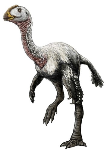 Elmisaurus Fan Casting for Prehistory | myCast - Fan Casting Your ...