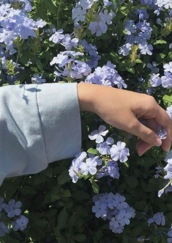 Emma Vanderboom Fan Casting for 🅡🅤🅢🅣🅨 🅛🅐🅚🅔 🅡🅞🅞🅣🅢 | myCast - Fan Casting ...