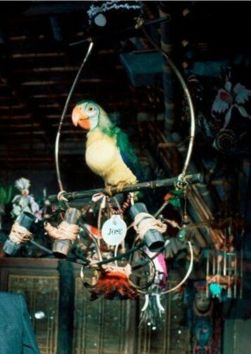 Enchanted Tiki Room Fan Casting for Disney Theme-Park Rides or Shows ...