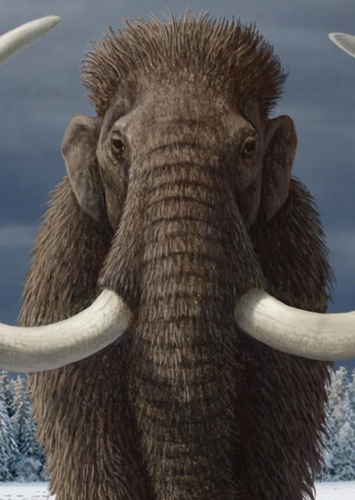 Ice Age Continental Drift Ethan