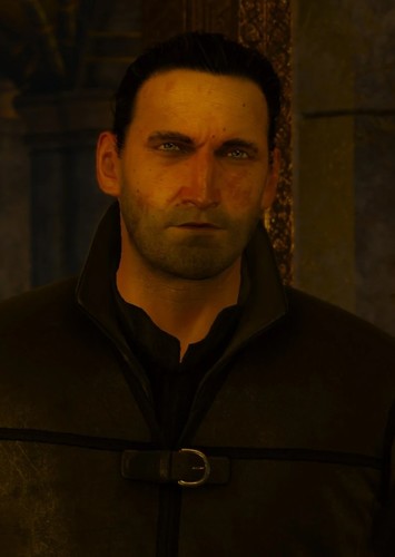 Fan Casting Tyler Hoechlin as Ewald Borsodi in The Witcher 3 Hearts of ...