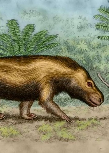 Exaeretodon Fan Casting for Prehistory | myCast - Fan Casting Your Favorite Stories