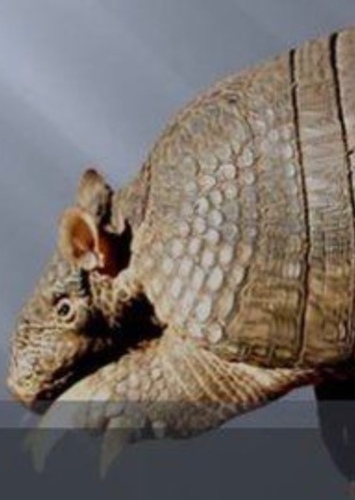 Fast Tony Fan Casting for Ice Age: The Meltdown (2026) | myCast - Fan ...