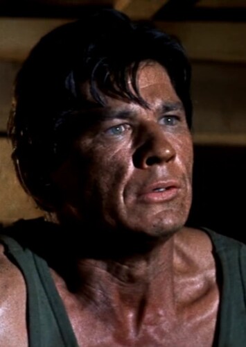 Flight Lieutenant Danny Welinski Fan Casting for The Great Escape (1983) | myCast - Fan Casting ...