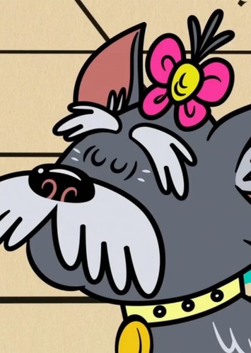 Fluffy Fan Casting for The Loud House (2000's) | myCast - Fan Casting ...