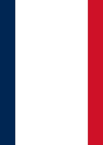 French Fan Casting for Fictional Characters Sorted by Heritages ...