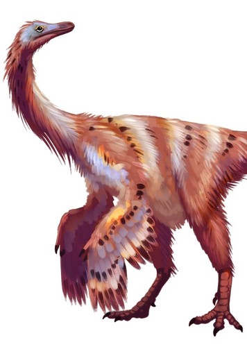 Garudimimus Fan Casting for Prehistory | myCast - Fan Casting Your ...