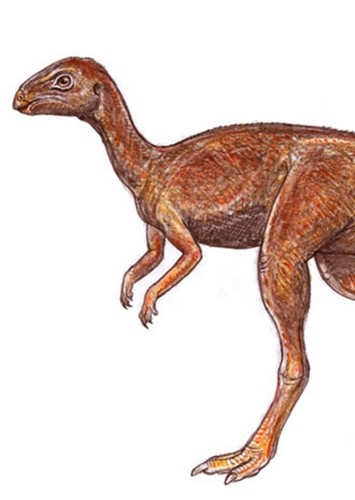 Gasparinisaura Fan Casting for Prehistory | myCast - Fan Casting Your ...