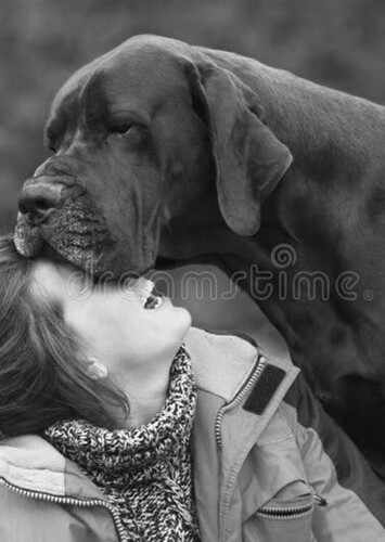 Fan Casting Taryn Delanie Smith and her Great Dane Bruce as Gentle ...