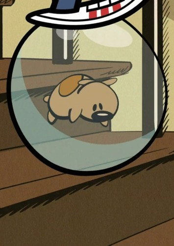 Find an Actor to Play Geo in The Loud House (2000's) on myCast