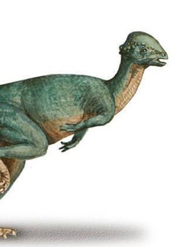 Gravitholus Fan Casting for Prehistory | myCast - Fan Casting Your ...