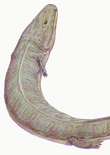 Greererpeton Fan Casting for Prehistory | myCast - Fan Casting Your ...