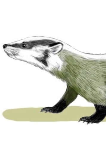 Gupta Fan Casting for Ice Age: Continental Drift (2032) | myCast - Fan ...