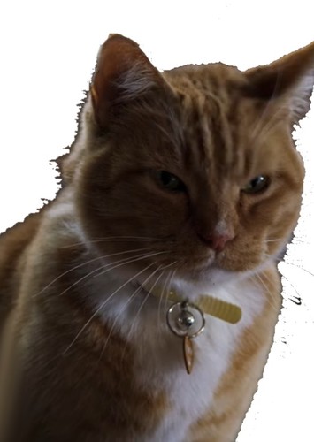 Gwen The Cat Fan Casting for The Mr Blobby Movie (2023) | myCast - Fan ...