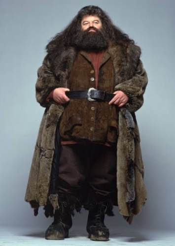 Hagrid Fan Casting for Harry Potter | myCast - Fan Casting Your ...