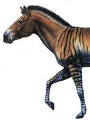 Fan Casting Tim Blake Nelson as Hippotherium in Prehistory on myCast