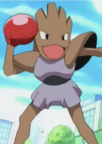 Hitmonchan Fan Casting for Pokémon (if they were human) | myCast - Fan ...