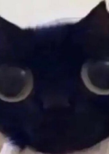 Jocelin Fan Casting for Silly Cats | myCast - Fan Casting Your Favorite Stories